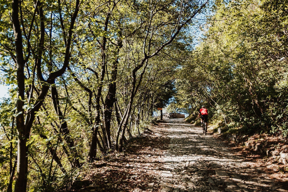 WORLDWIDE 3T EVENTS AT YOUR DOORSTEP - NOVEMBER – 3T Bike